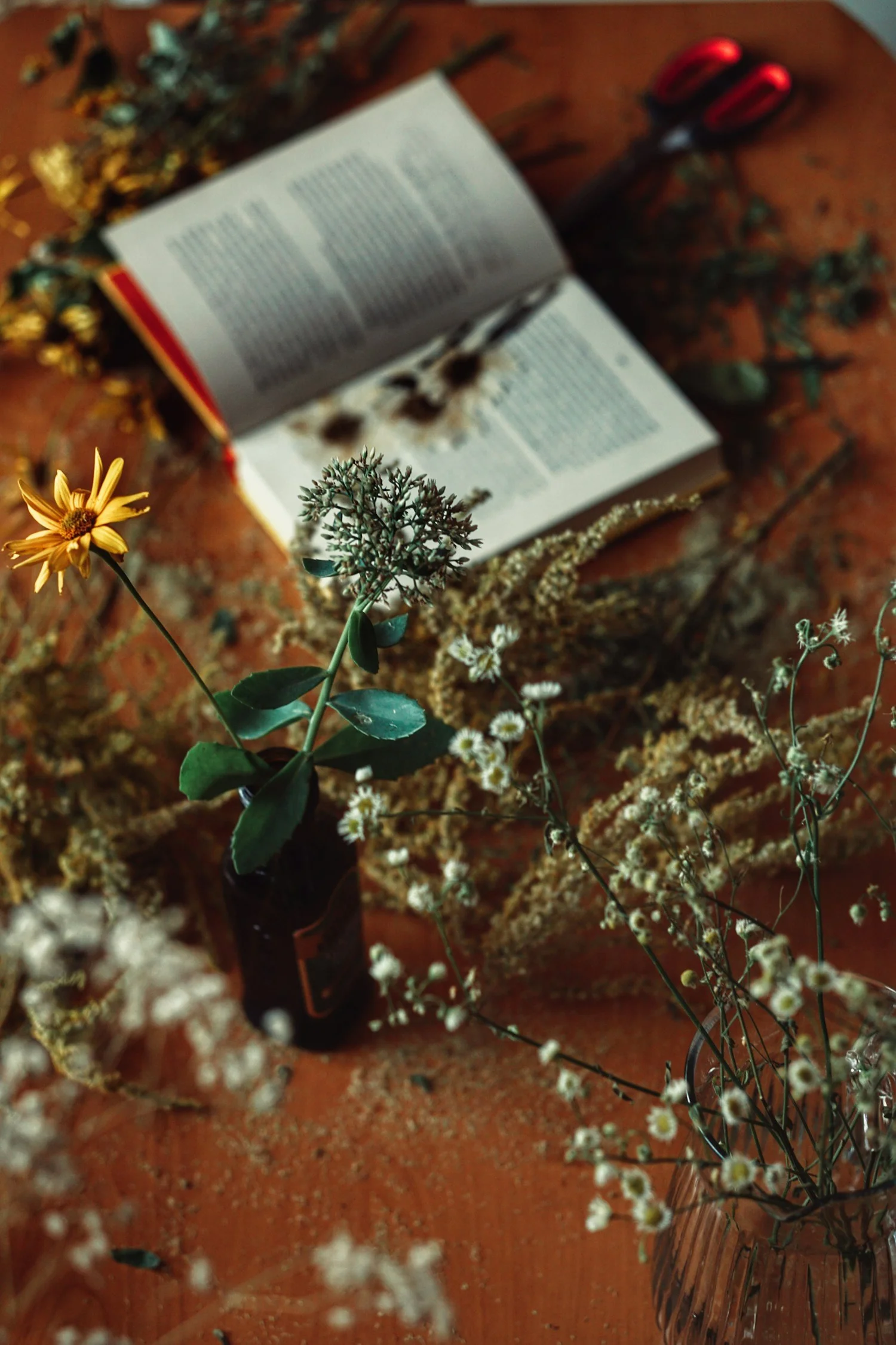 DIY Bouquet Preservation: What You Need to Know Before You Start ...