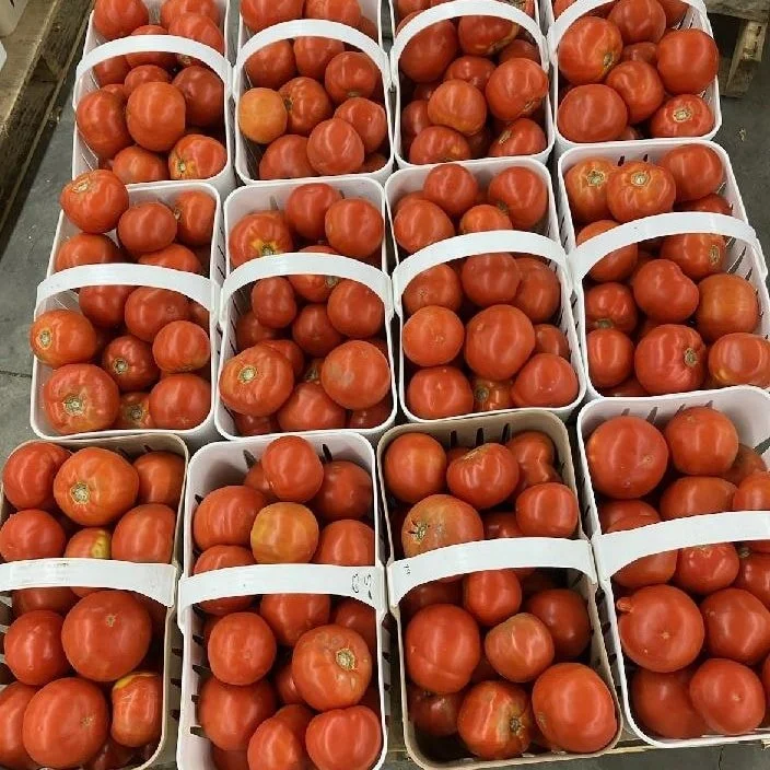 Farm Grown Vegetables — Barber Orchards Fruit Stand