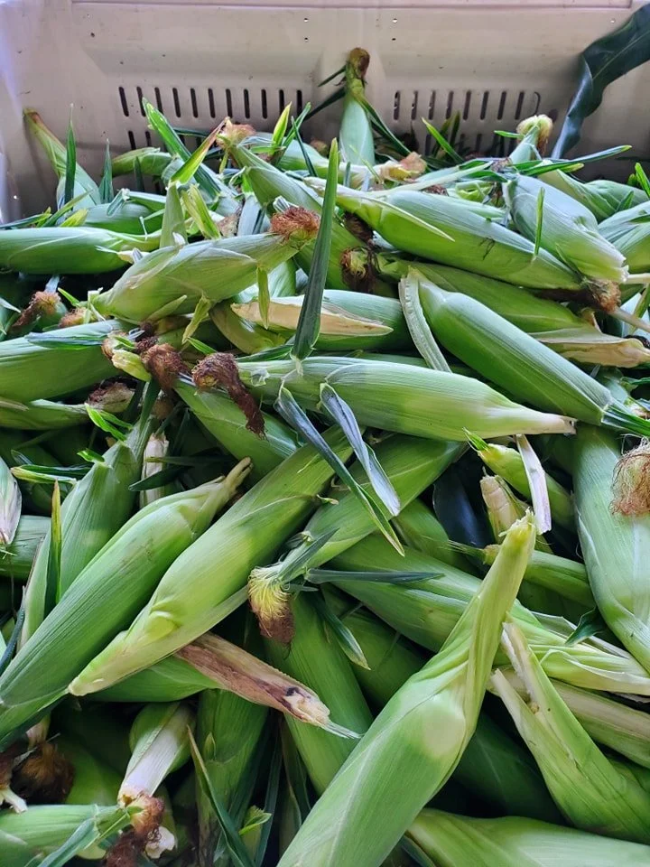Farm Grown Vegetables — Barber Orchards Fruit Stand