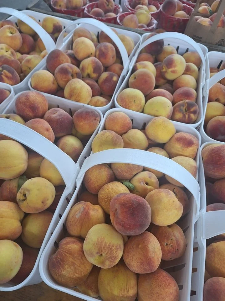 Harvest Calendar — Barber Orchards Fruit Stand