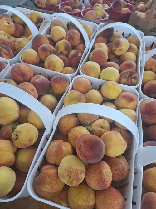 Harvest Calendar — Barber Orchards Fruit Stand