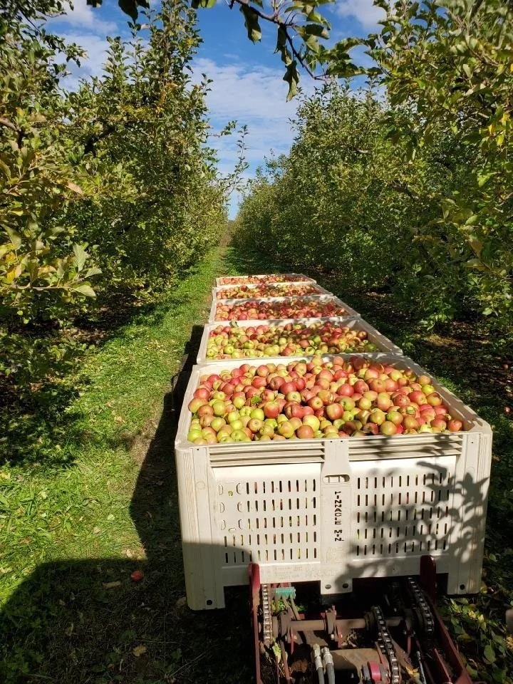 Harvest Calendar — Barber Orchards Fruit Stand