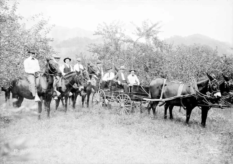 Our History — Barber Orchards Fruit Stand