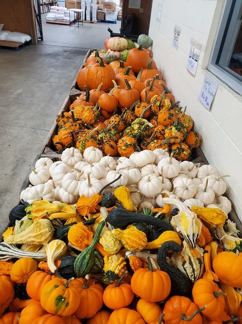 Farm Grown Vegetables — Barber Orchards Fruit Stand