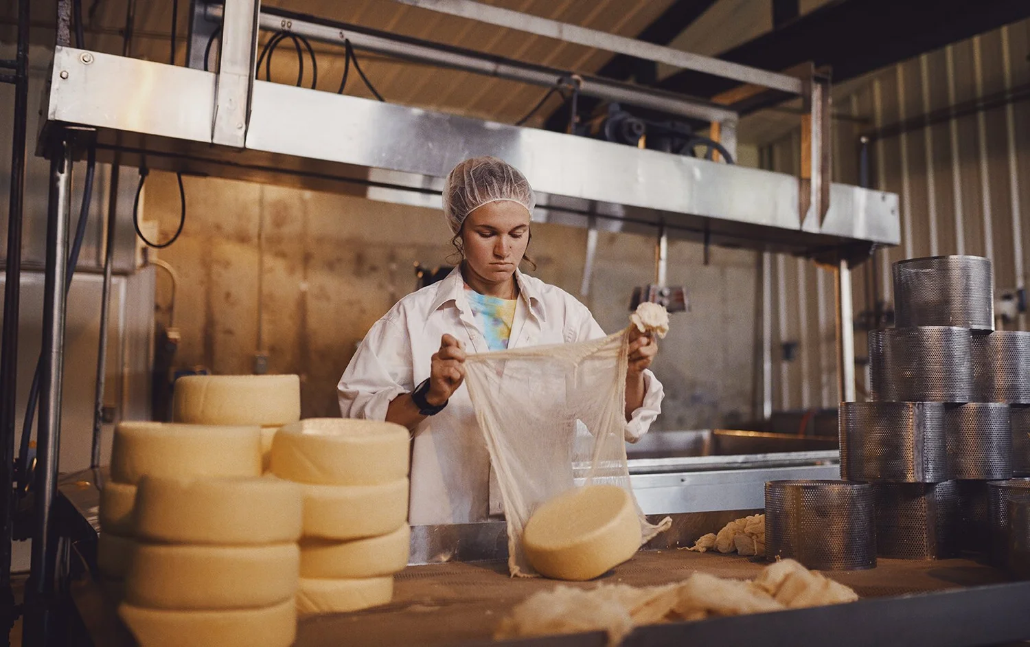 Harpersfield Cheese