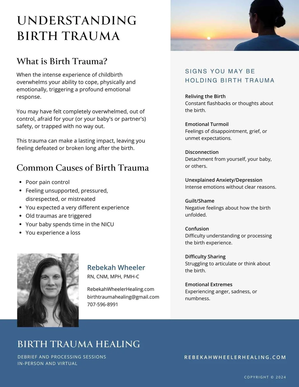 Understanding Birth Trauma Guide — REBEKAH WHEELER