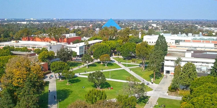 Top 10 Psychology Master’s Programs California: A Practical Guide ...