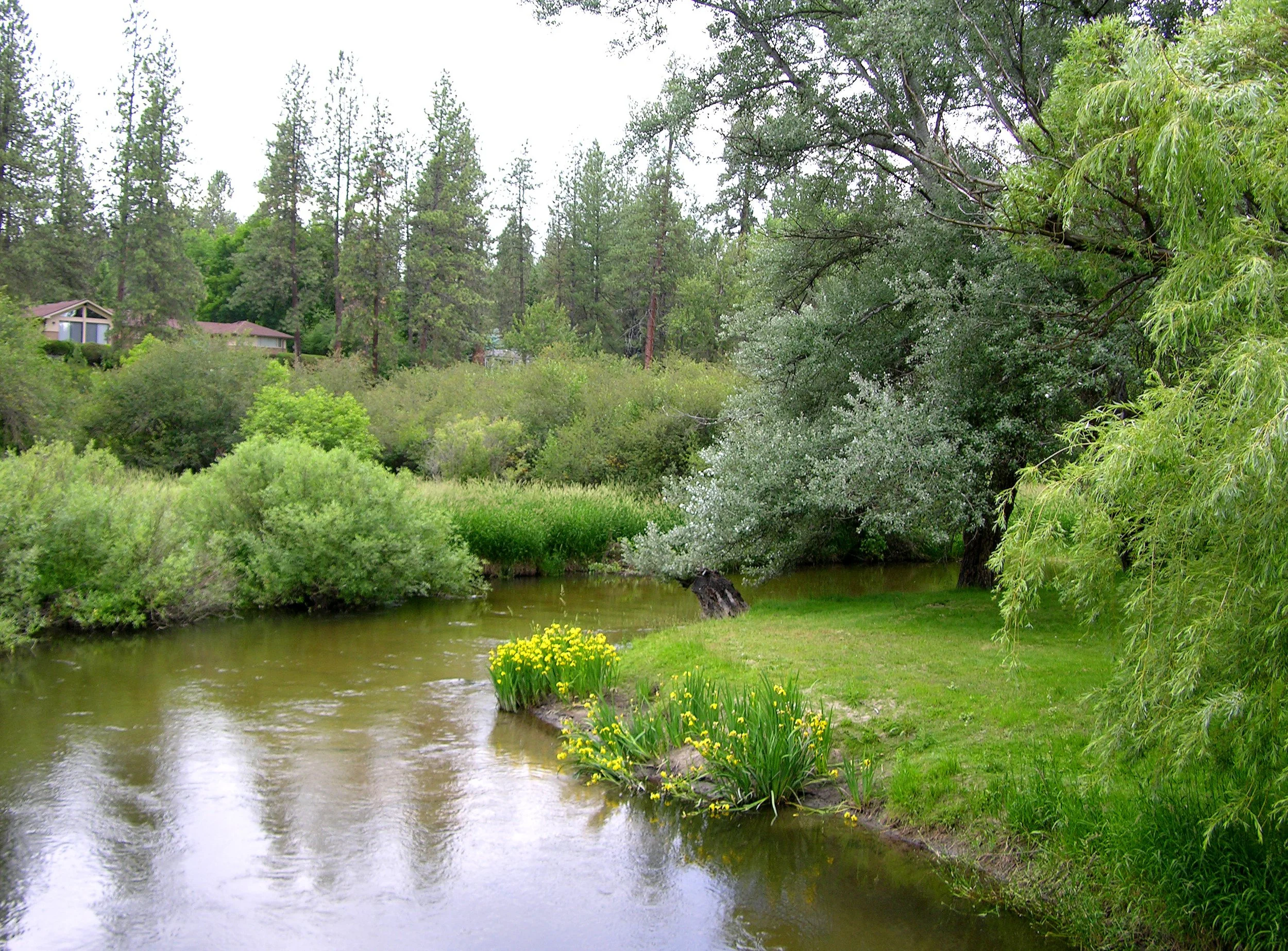 STUDIOS — Little Spokane River Artist Studio Tour