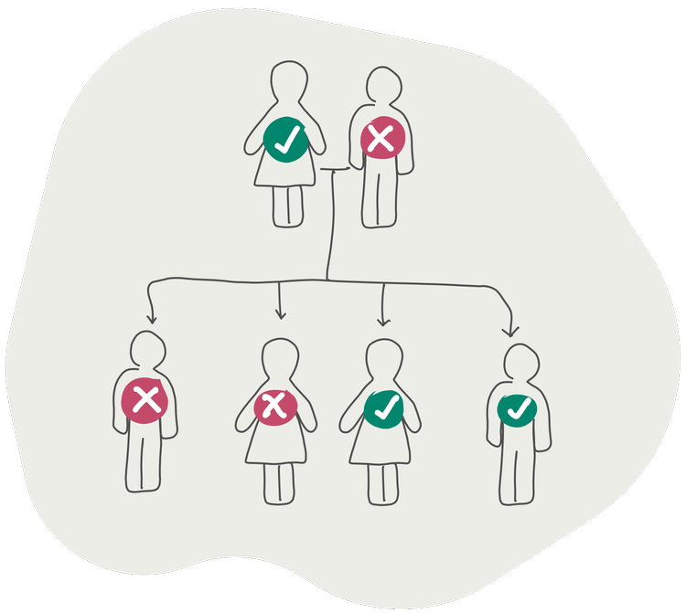 What is autosomal dominant inheritance? — Youngtimers