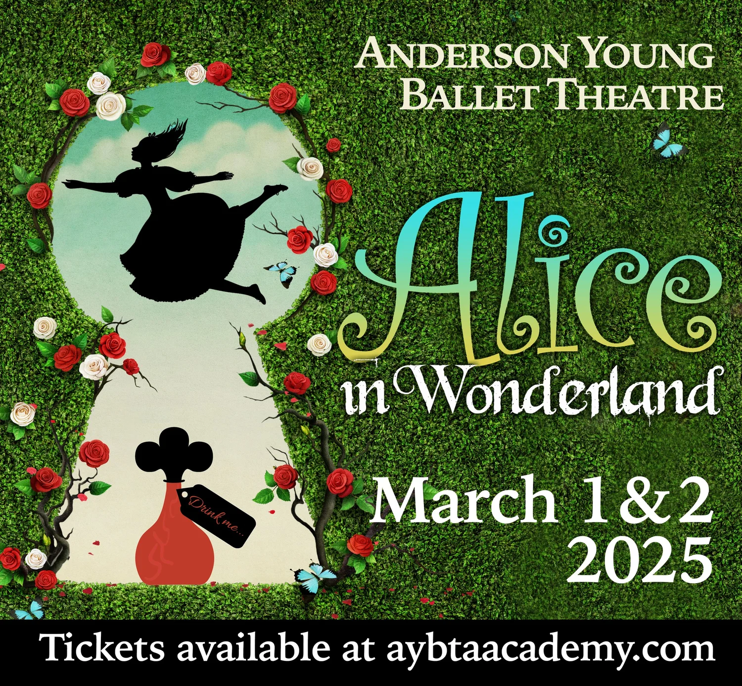 ANDERSON YOUNG BALLET THEATRE ANNOUNCES 2024-2025 BALLET SEASON ...
