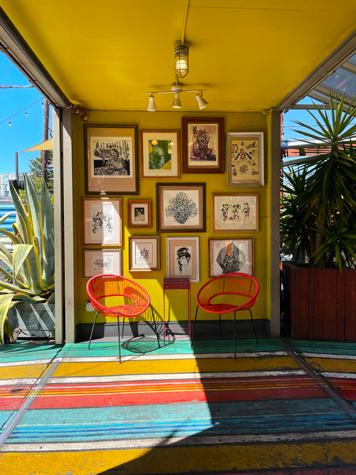 NIDO's BackYard