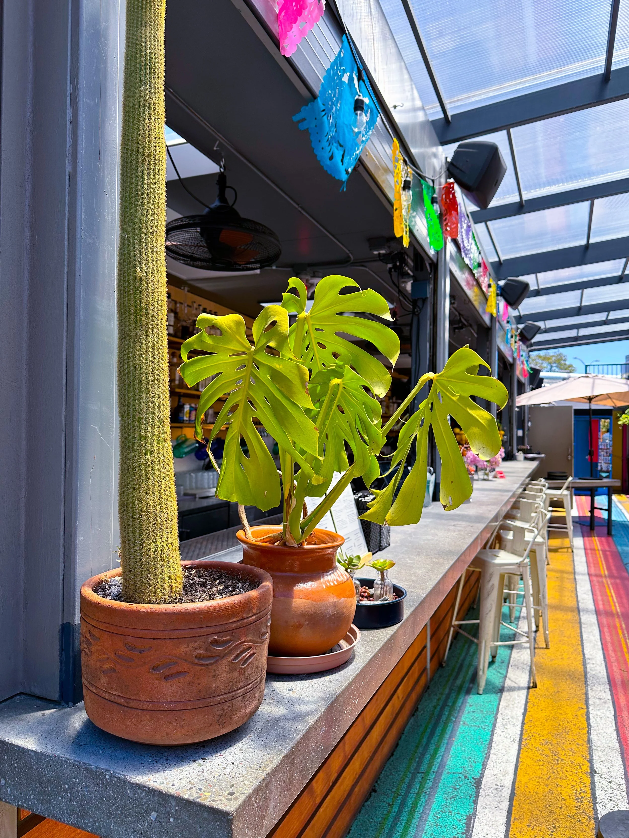 Gallery — NIDO's BackYard