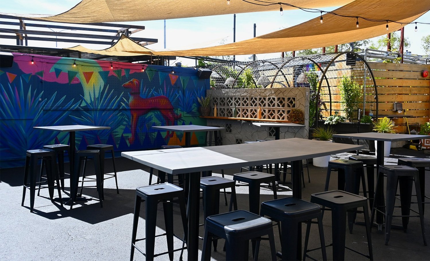 Private Parties — NIDO's BackYard