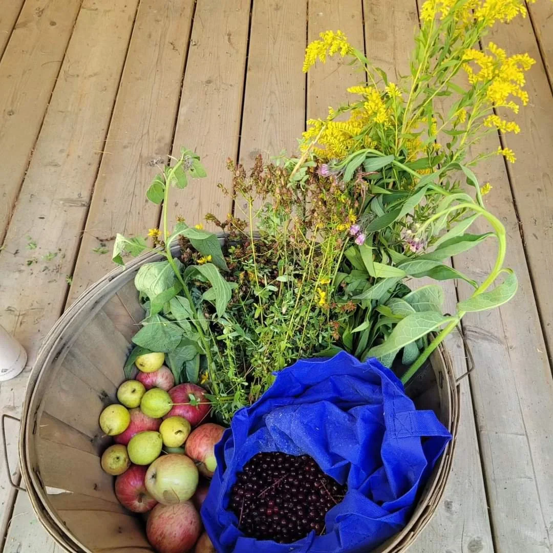 Events and Classes — Seasons Pharmacy & Culinaria
