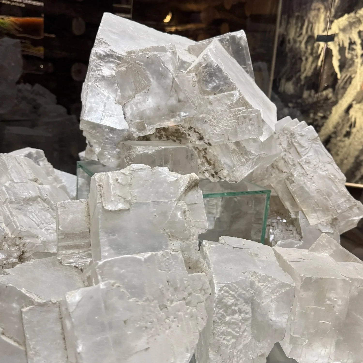 Are we done with winter yet? — Seasons Pharmacy & Culinaria