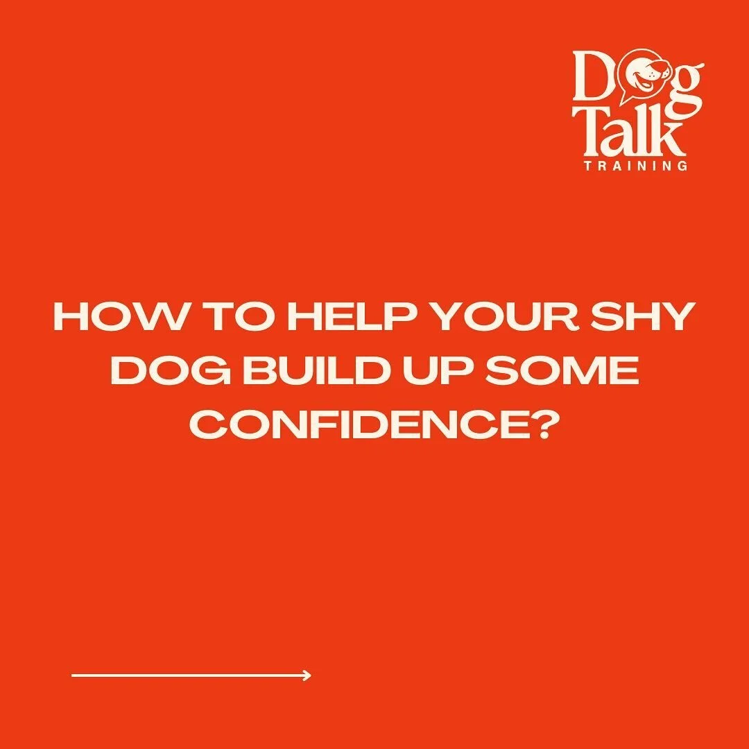 Dog Talk Training