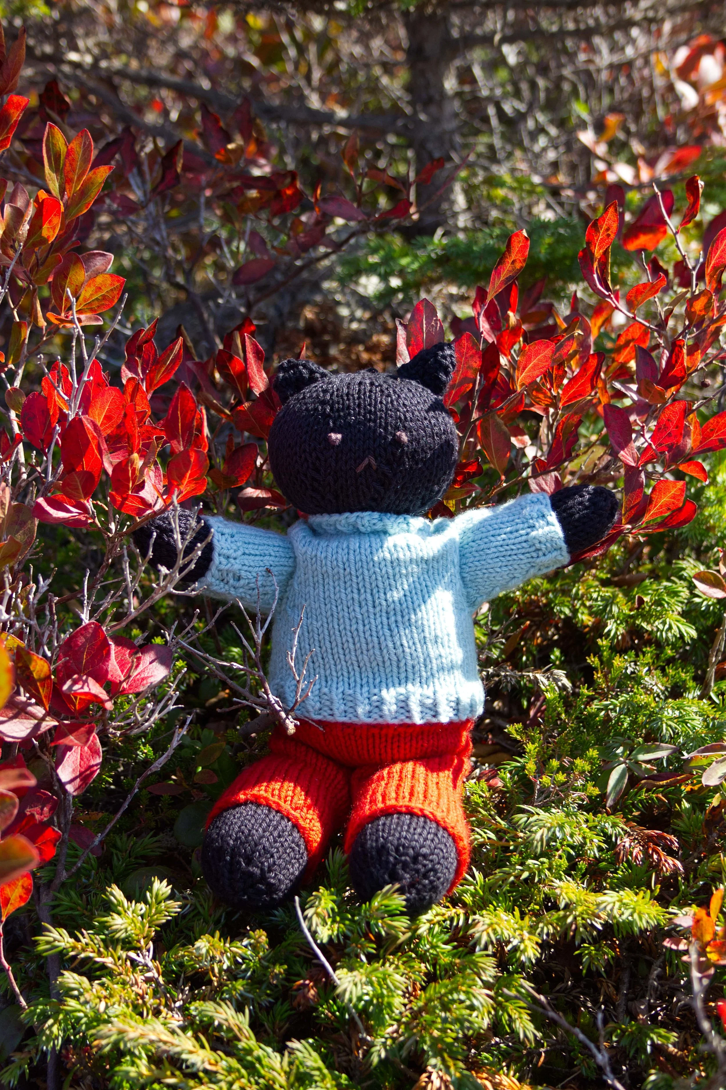 Stuffie Knitting Pattern: Dumpling Cat — Classical Songbird Designs