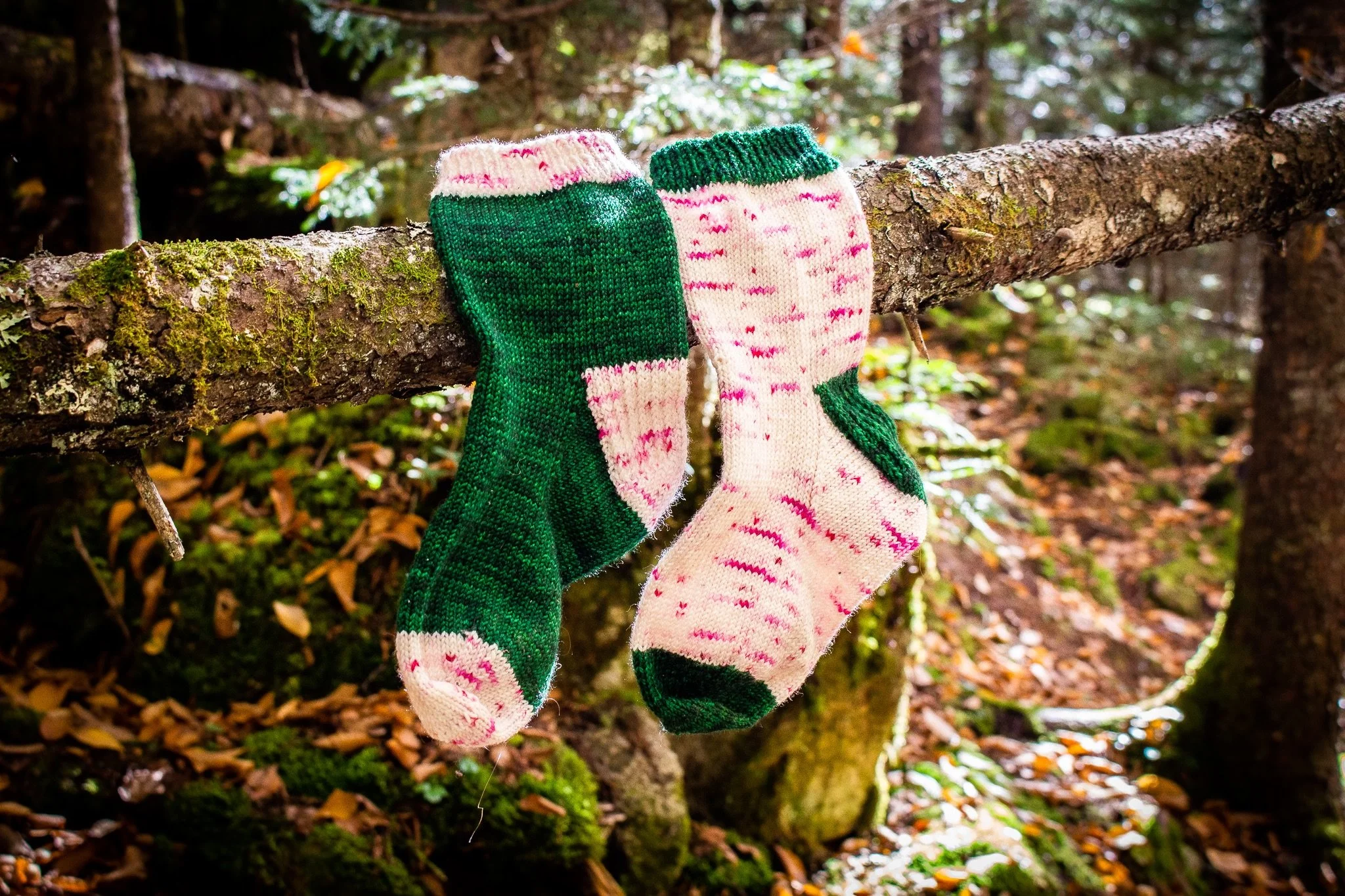Free Sock Knitting Pattern: Colourblock Socks — Classical Songbird Designs