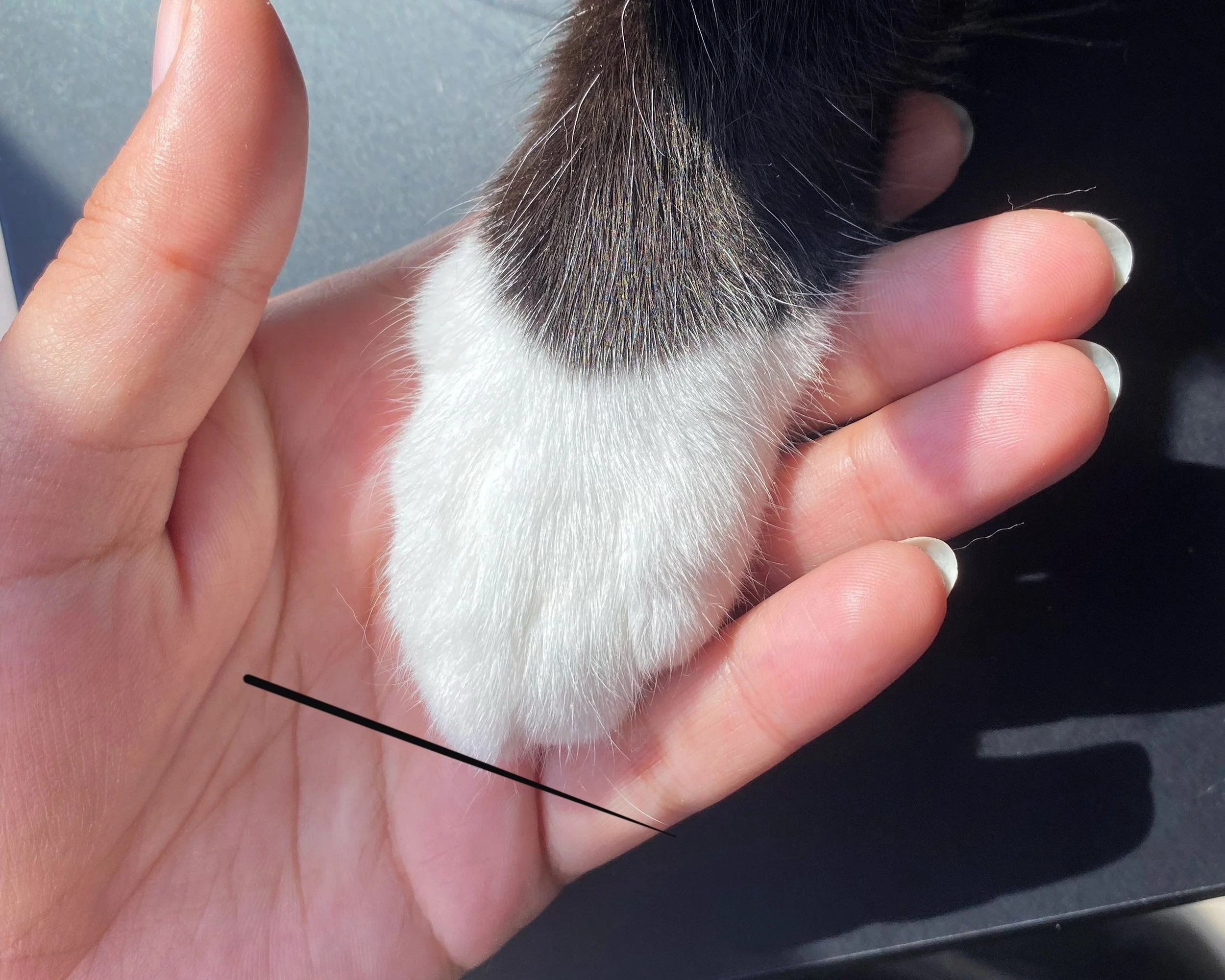 Sock Knitting 101: Measuring Your Foot — Classical Songbird Designs