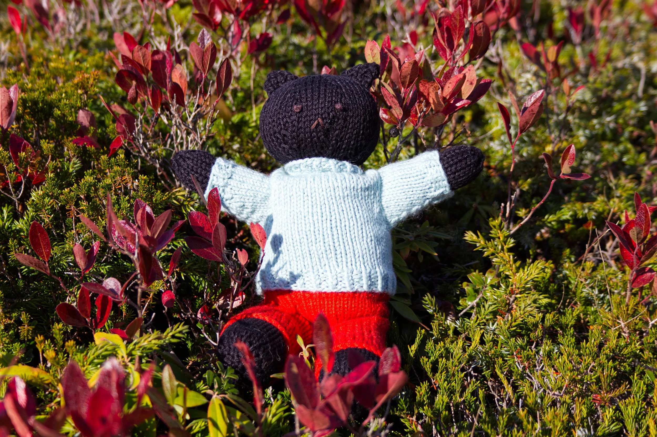 How to Take Better Photos of Your Knits — Classical Songbird Designs