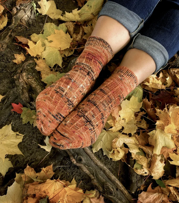 Sock Knitting Pattern: Aspen Trees — Classical Songbird Designs