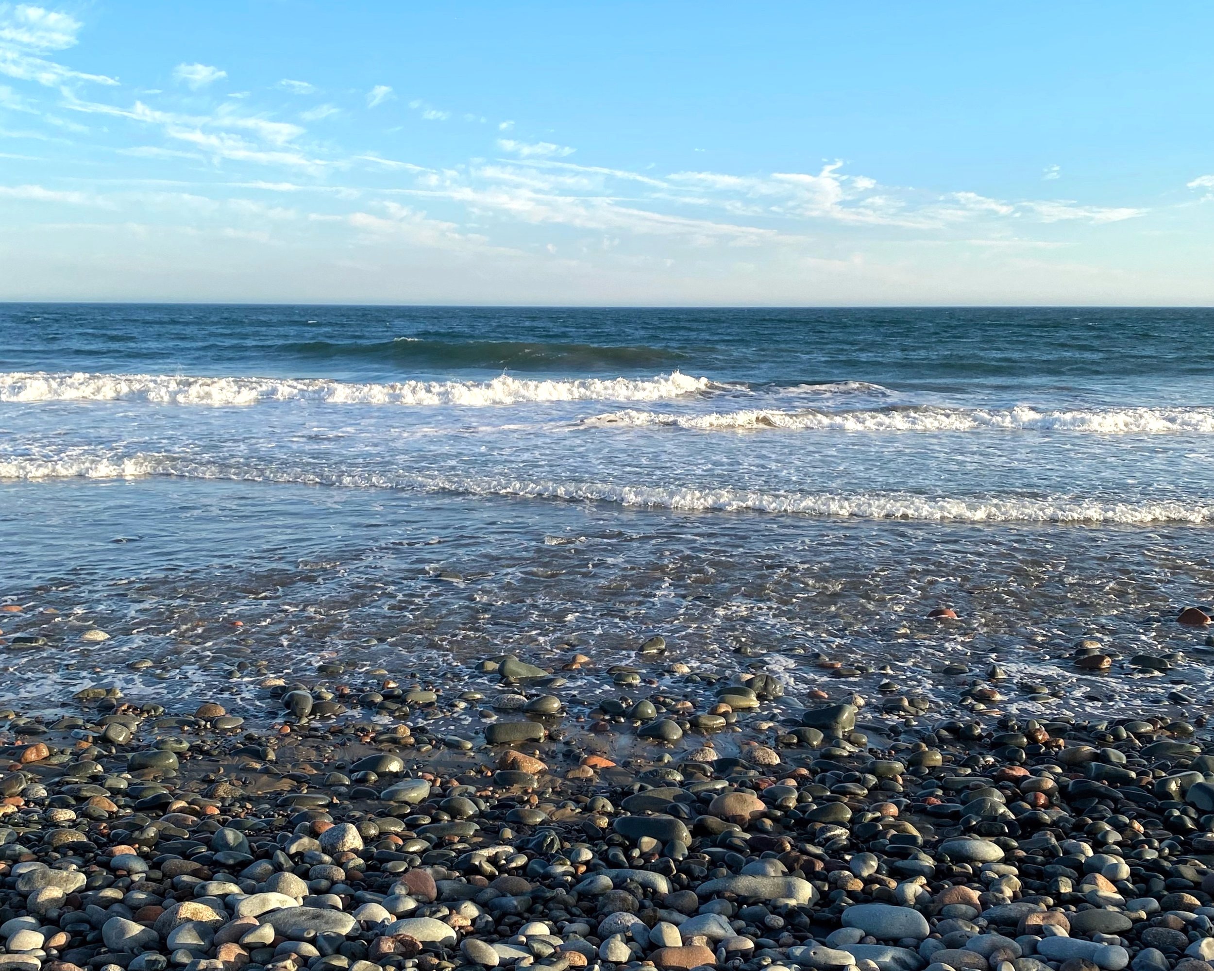 Tips for Collecting Seashells — Classical Songbird Designs