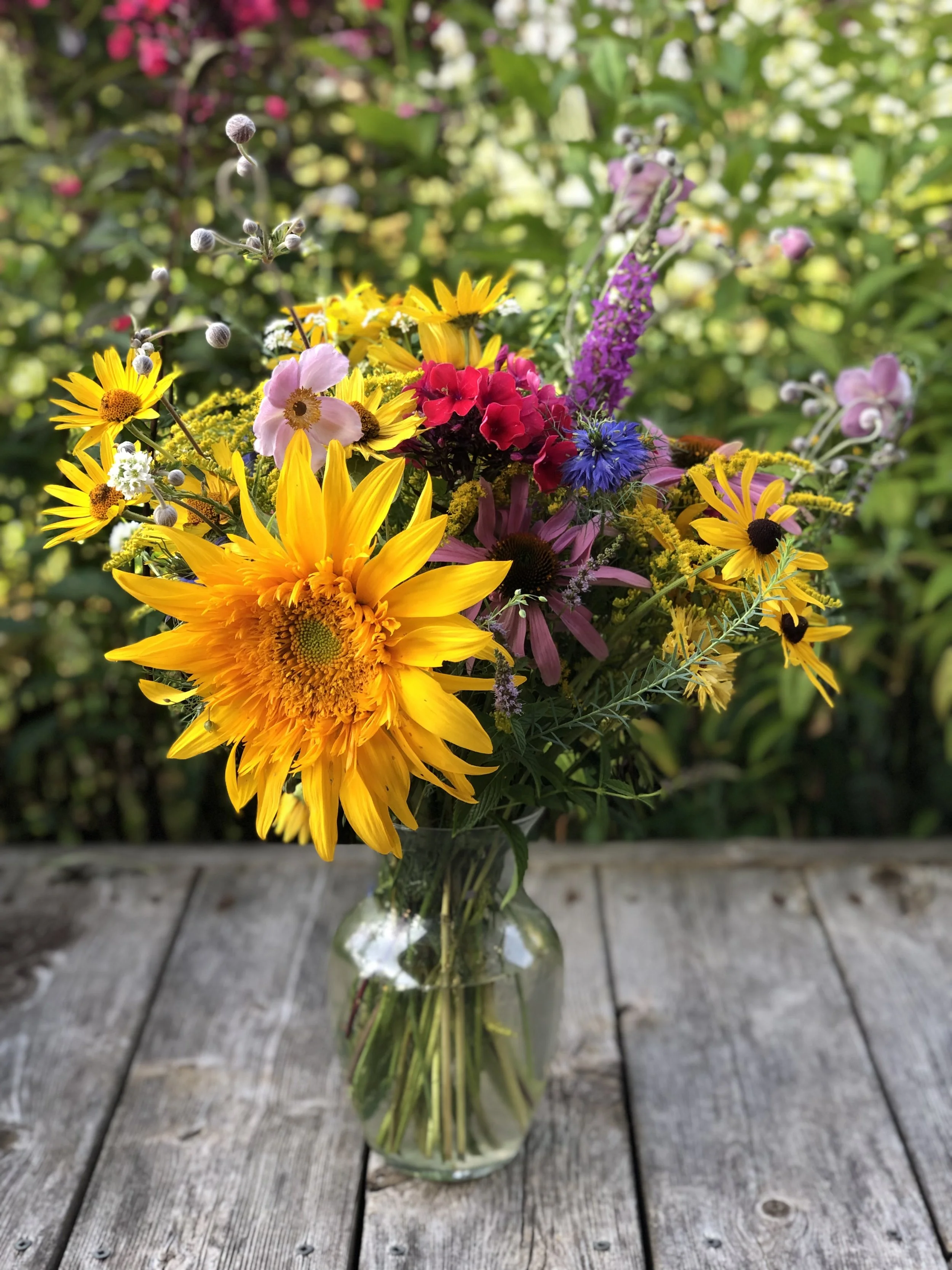 Divine Colour Acres - Regeneratively grown flowers and natural dyes