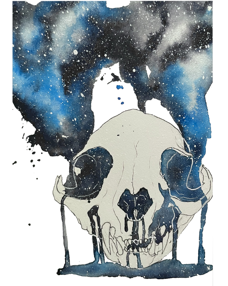 Johnston Illustration