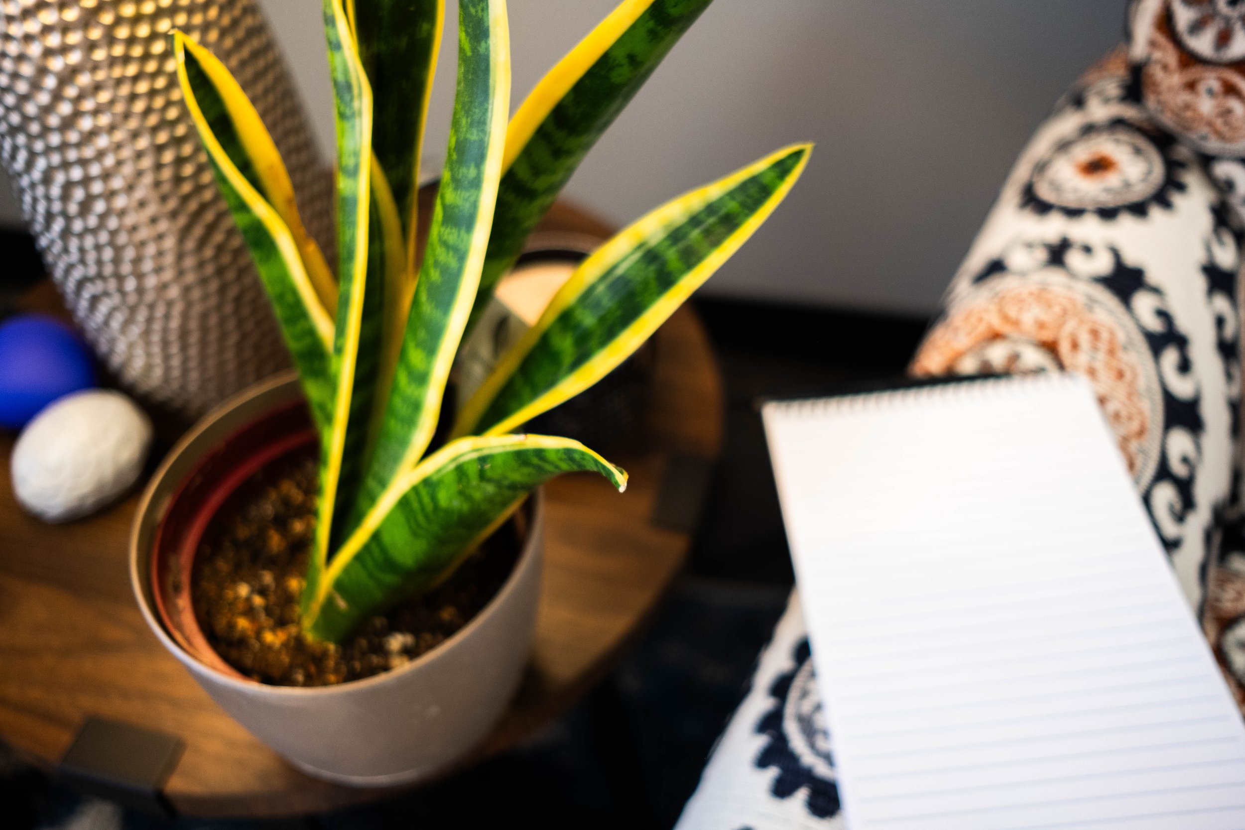 About | Start Your Healing Today — Greg Stephens Counseling
