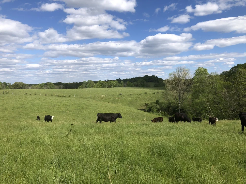 %Pleasant View Farm