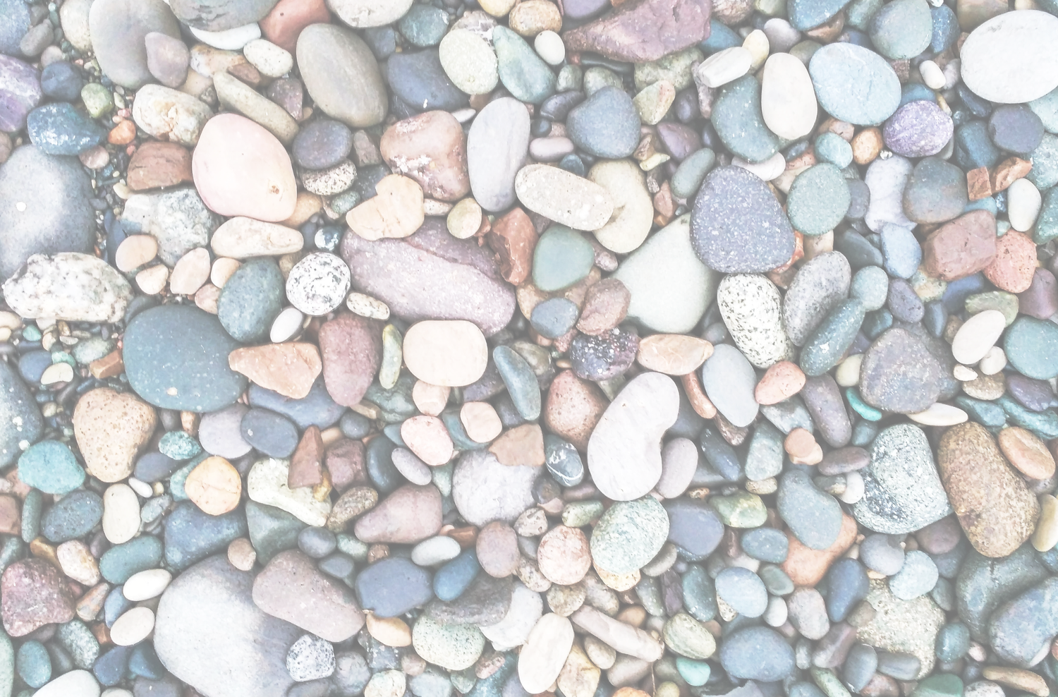 The Rooms Museum | St. John's, Newfoundland