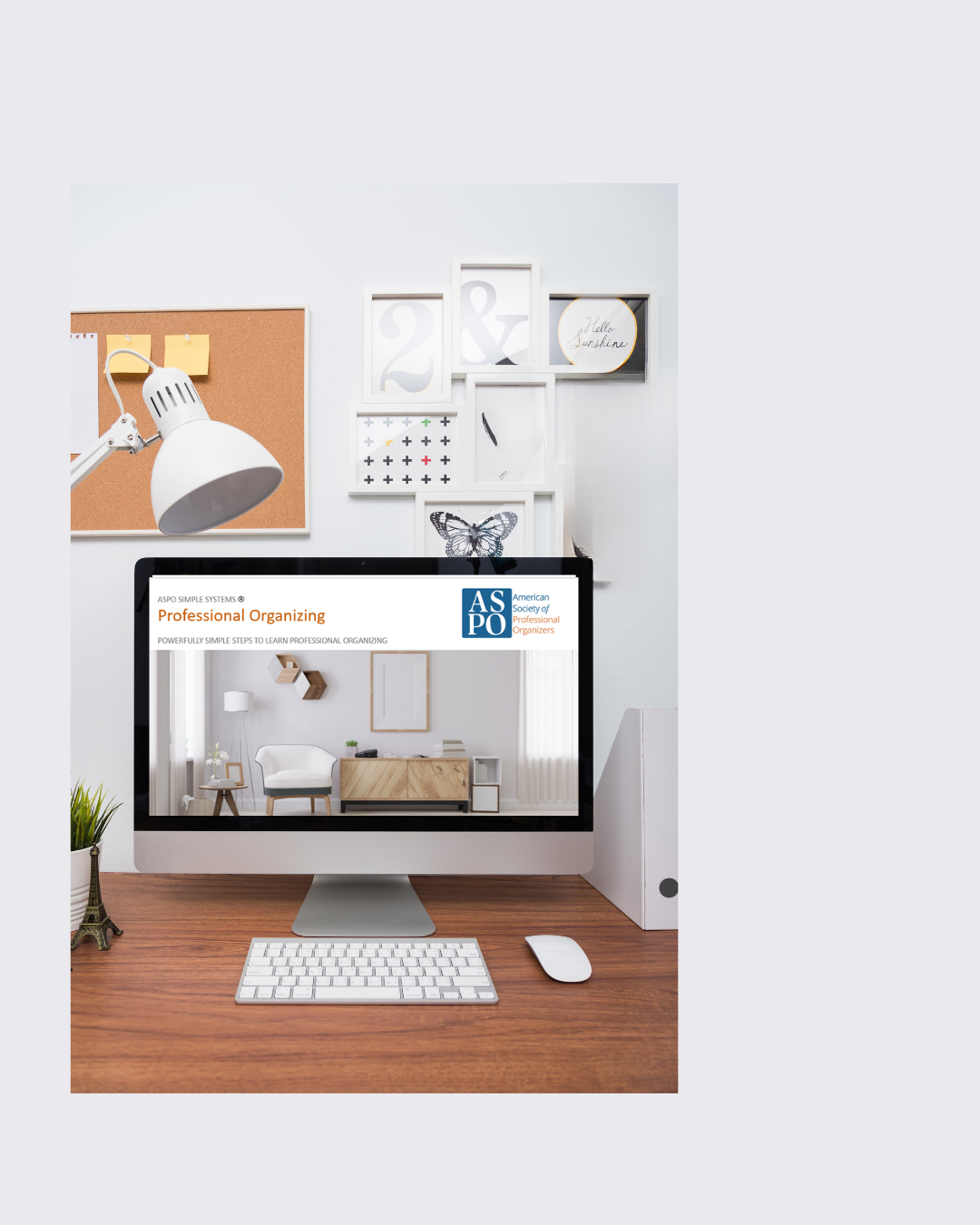 ASPO| Professional Organizer Certification