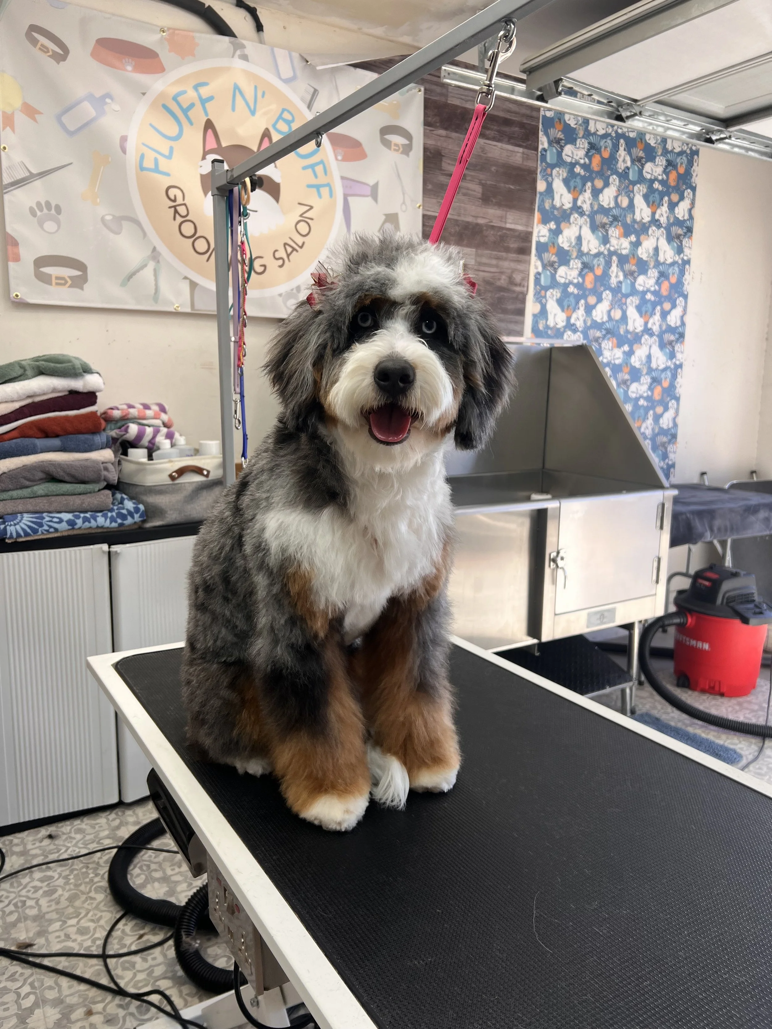 Fluff n' Buff Grooming Salon