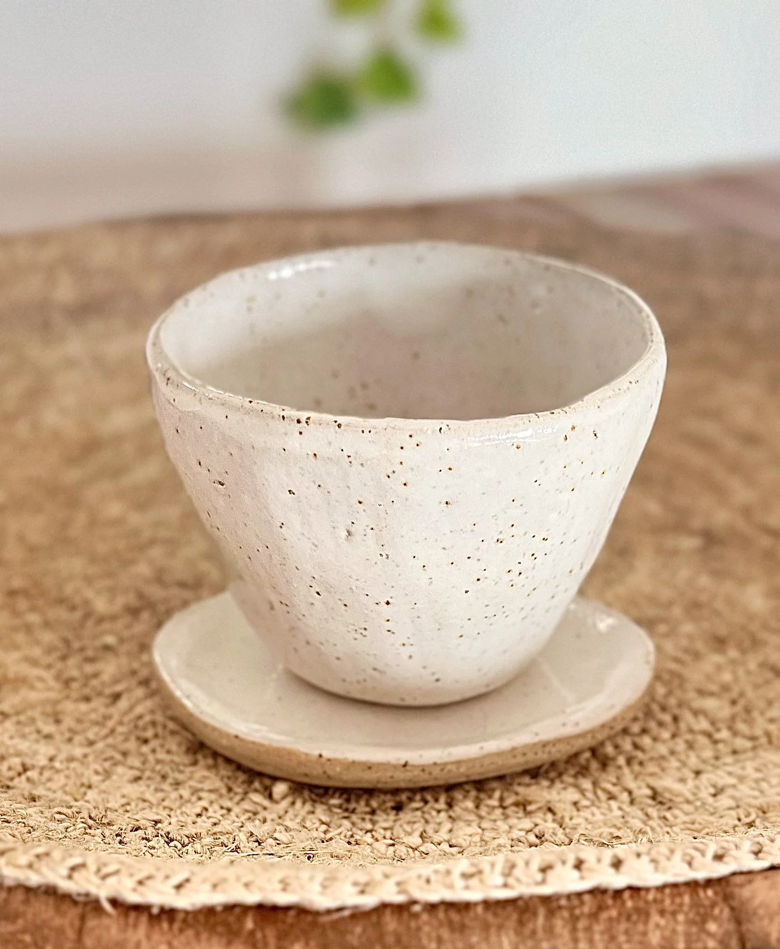 ash ceramics