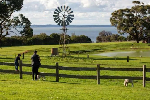 A Definitive List of Phillip Island's Premier Wedding Venues — Fiona ...