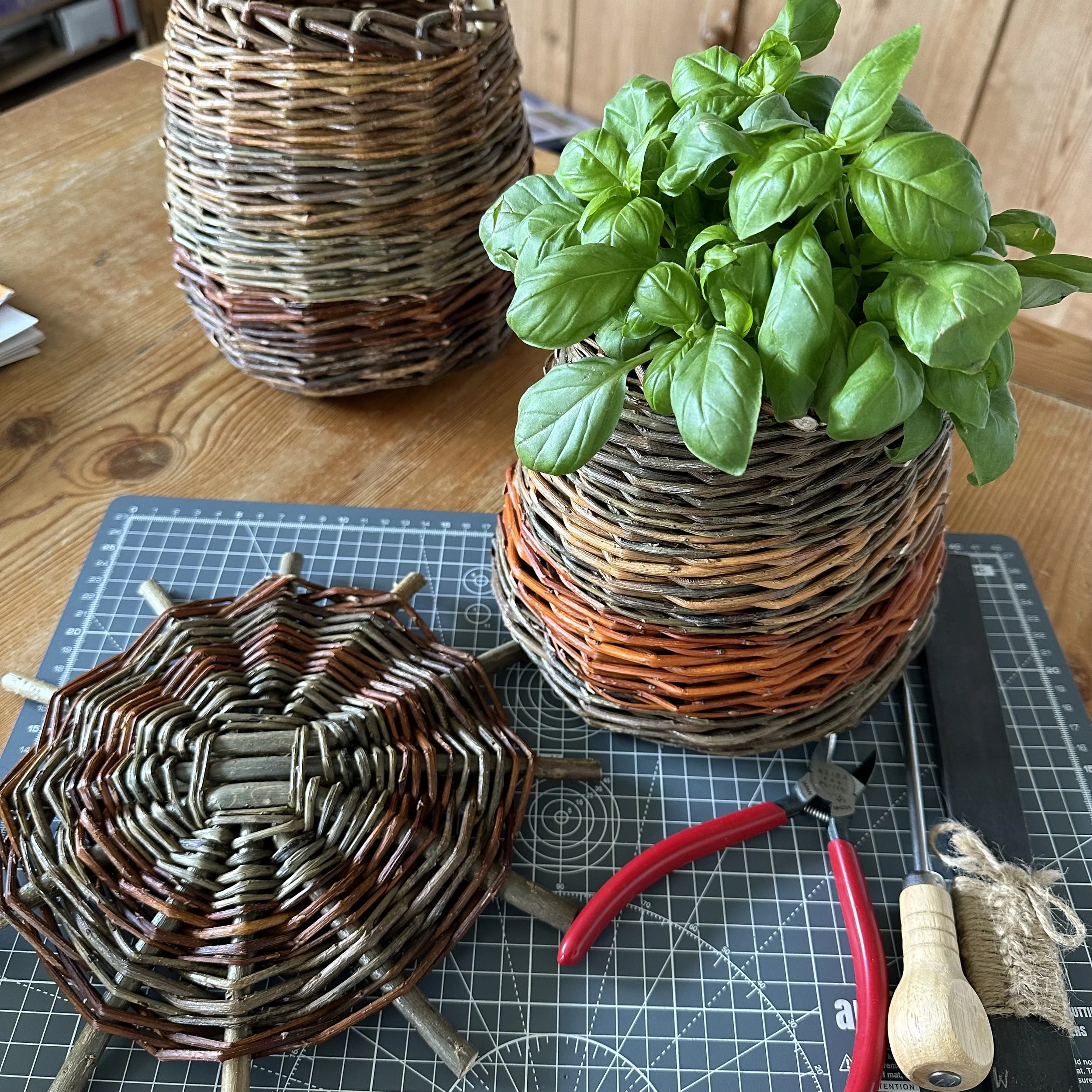 Warwickshire Willow - Baskets, Workshops, Cuttings & Living Structures