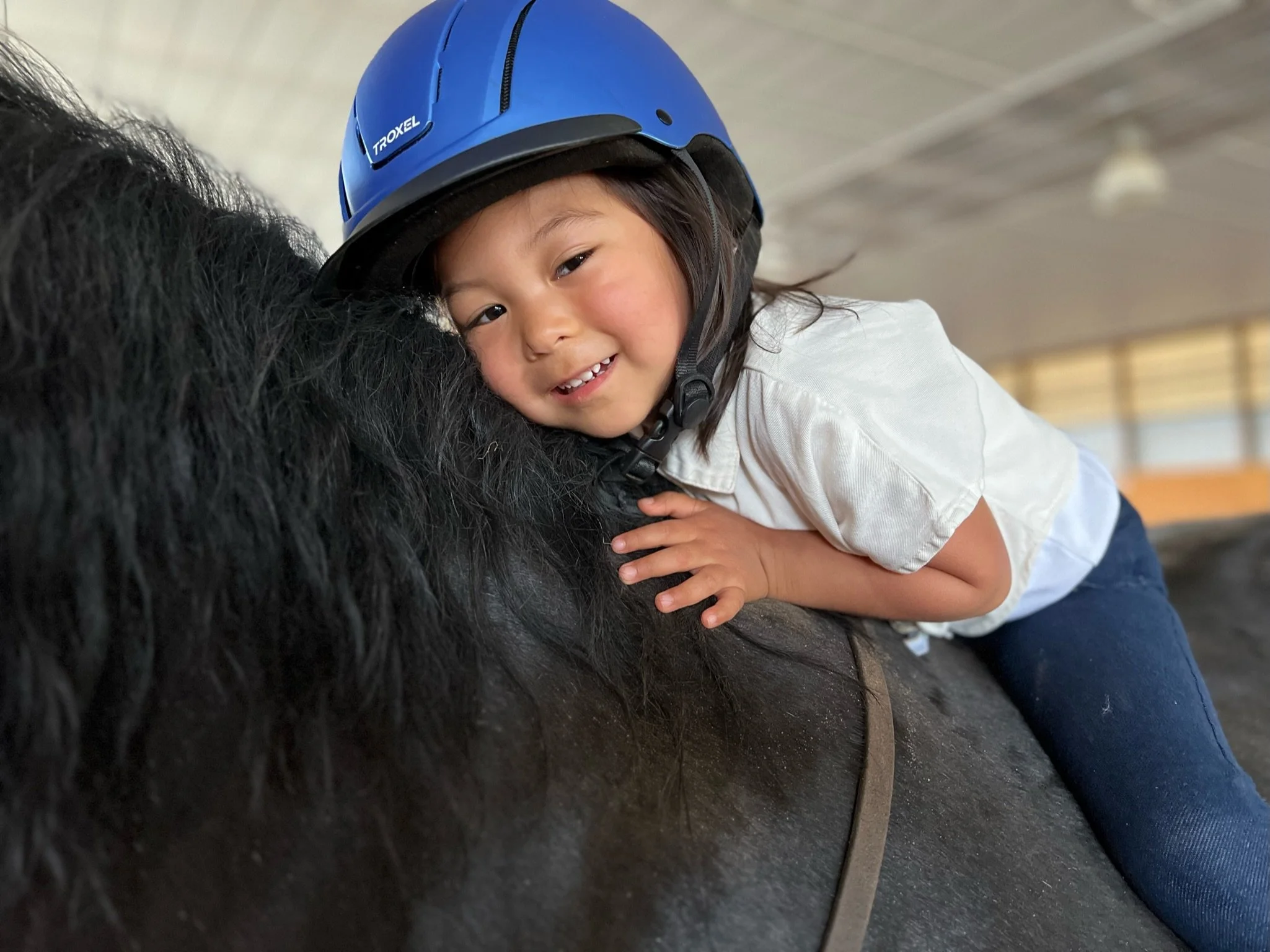 Dream Scholars at Dreamweaver Equine Center