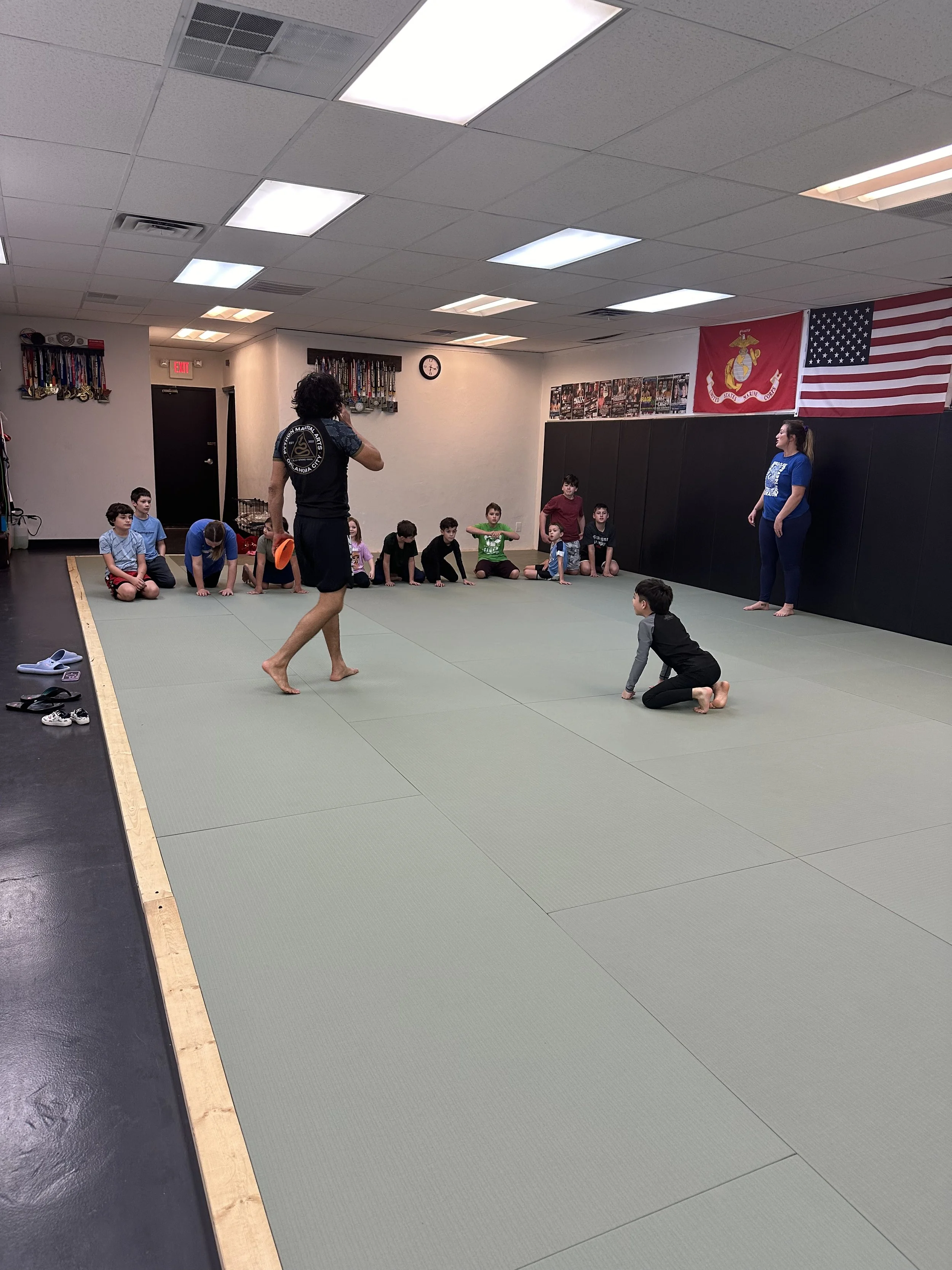 About — Python Martial Arts