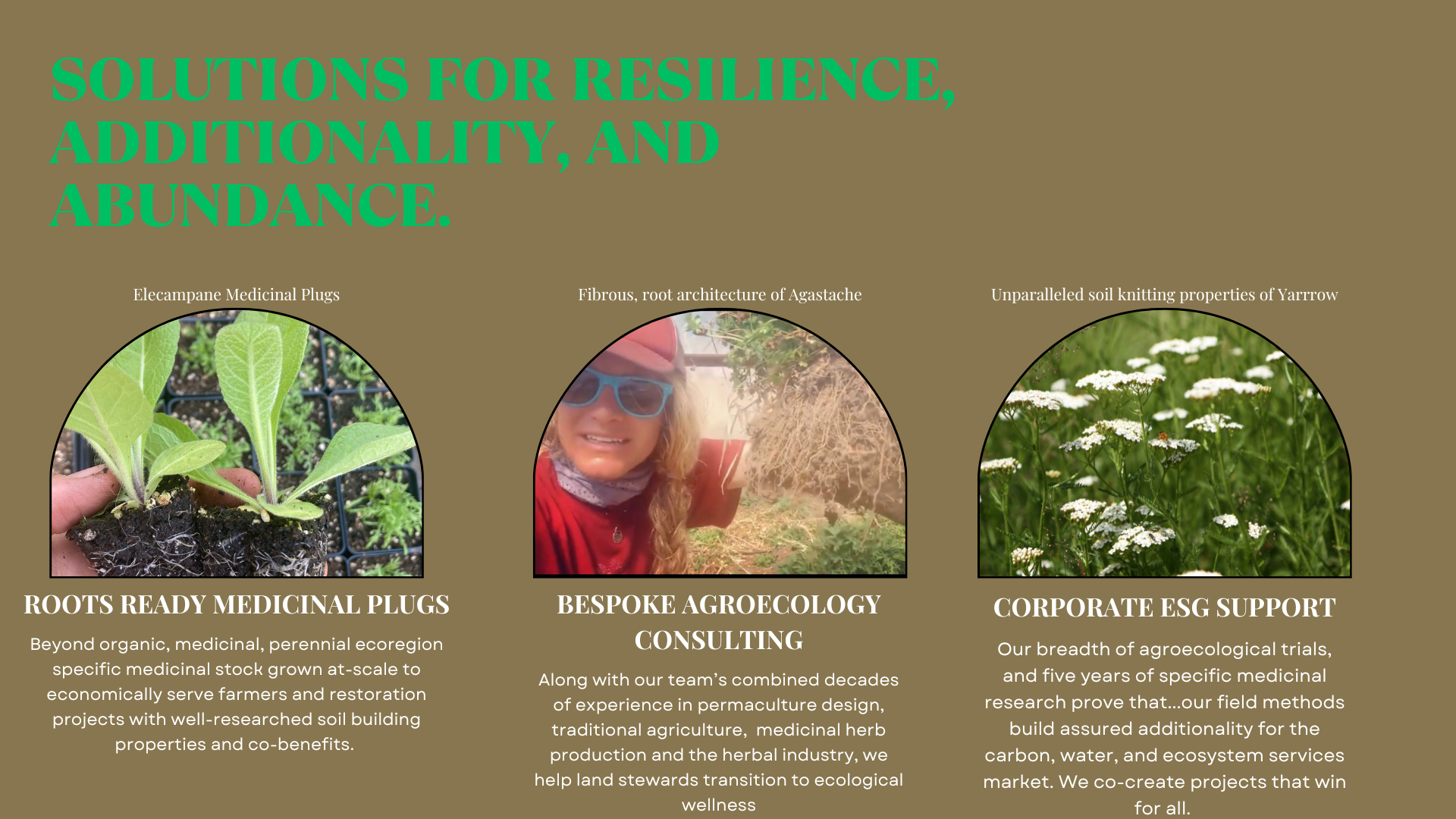 Mineral Roots Nursery