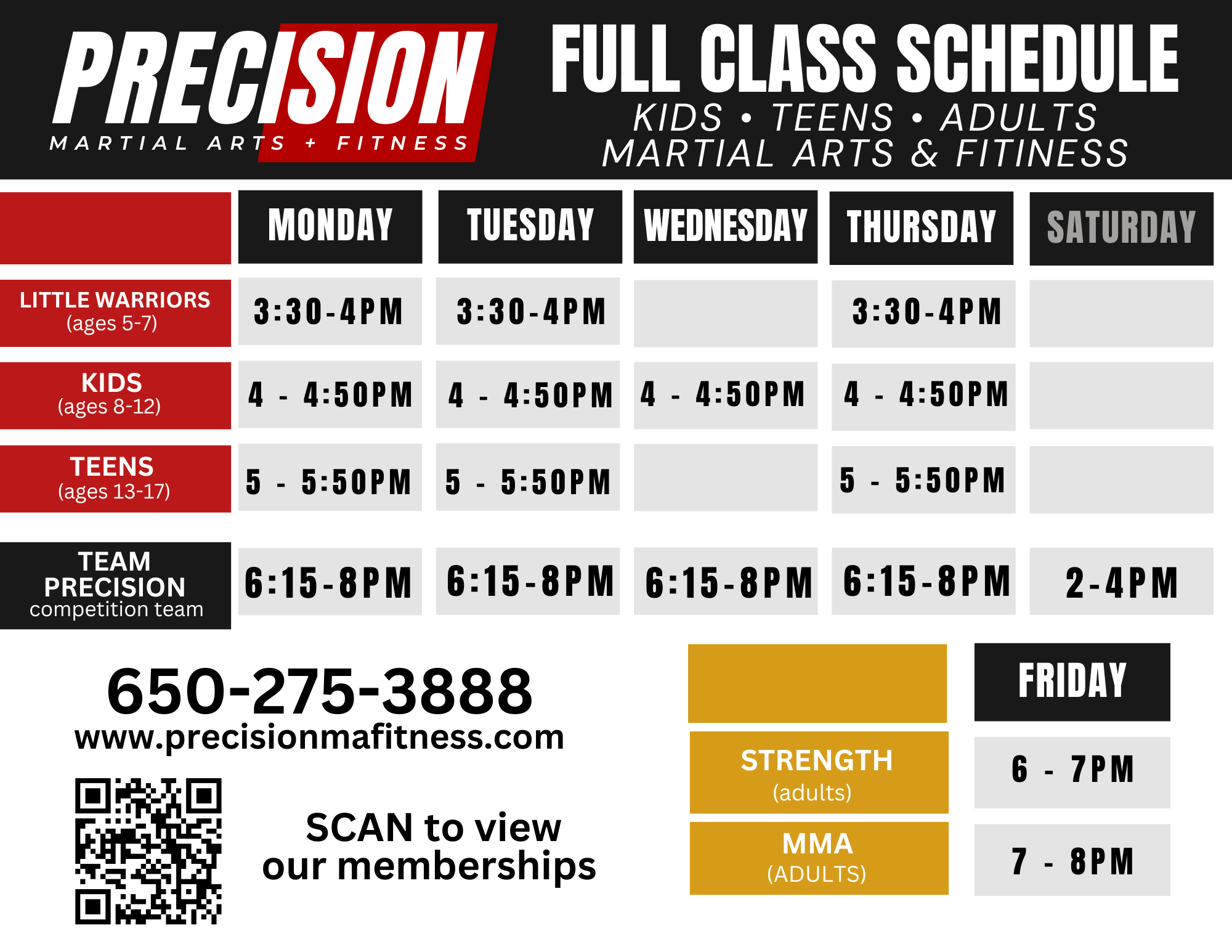 Schedule — Precision Martial Arts + Fitness