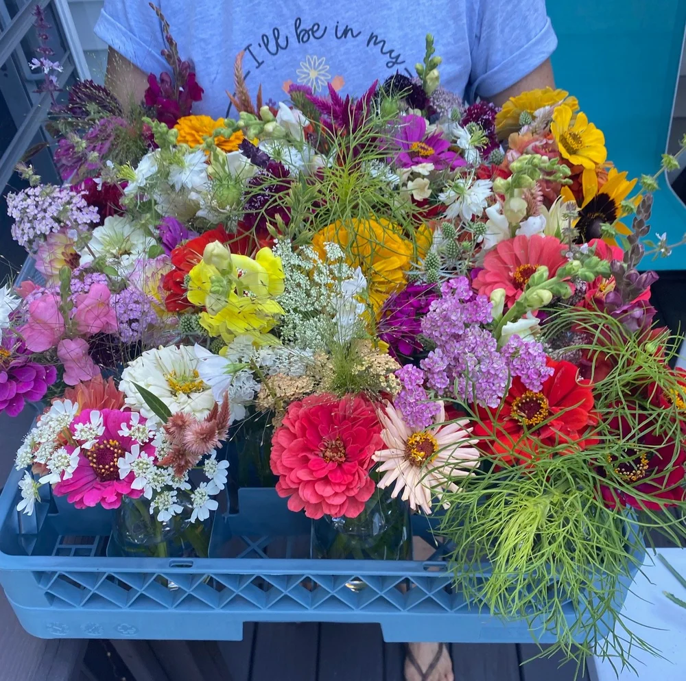 Gallery — EL Flowers