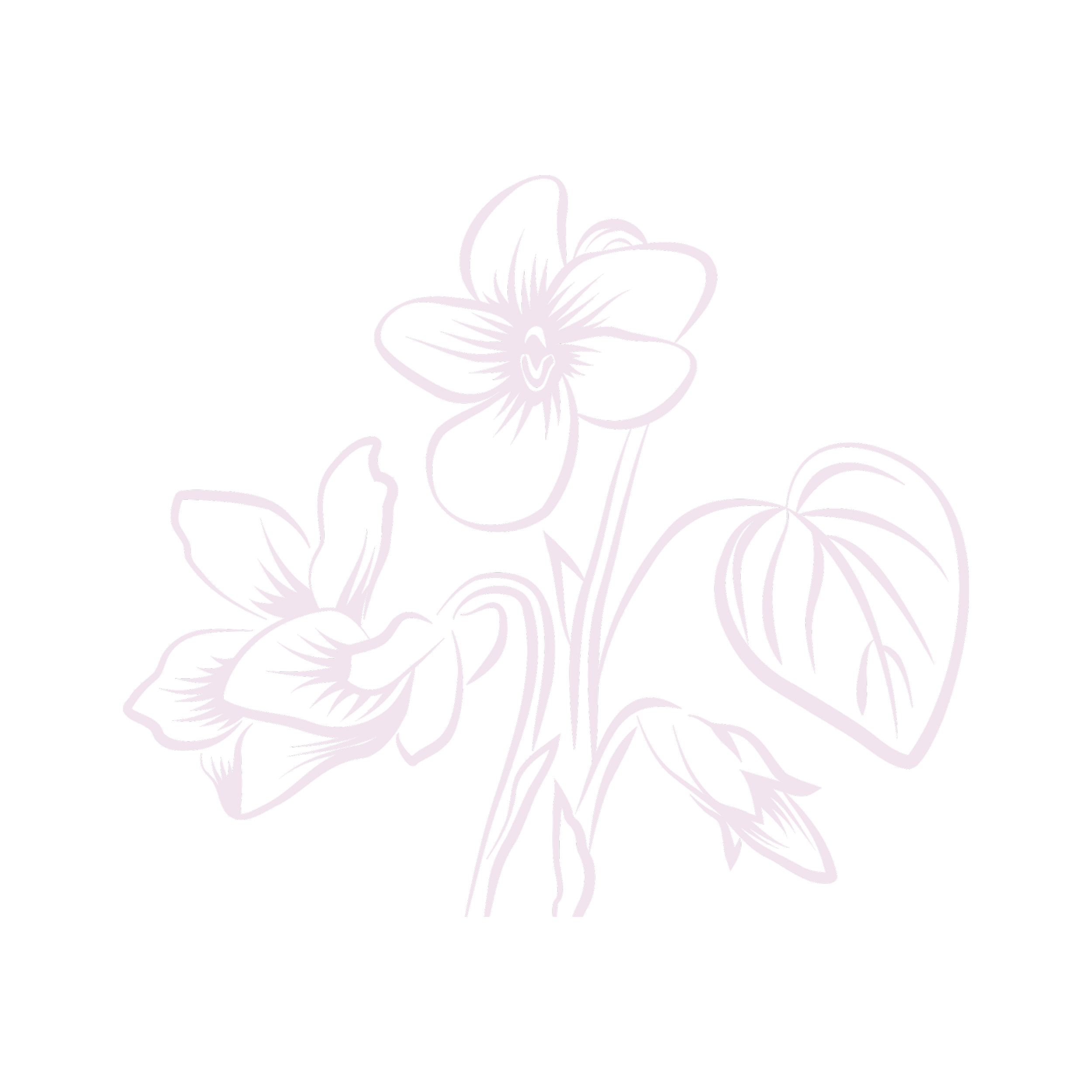 Sweet Violet Floral Boutique