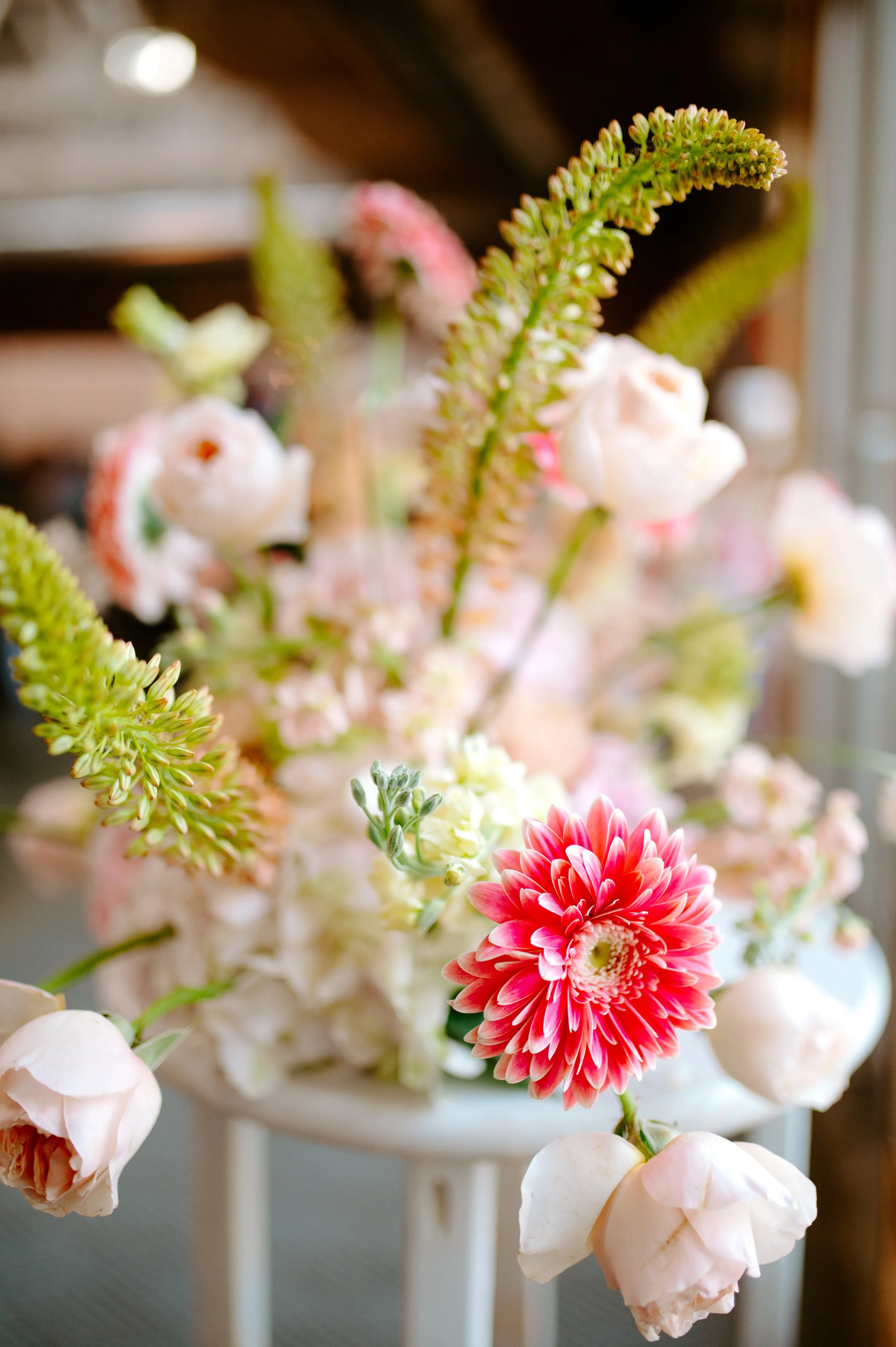 Sweet Violet Florals