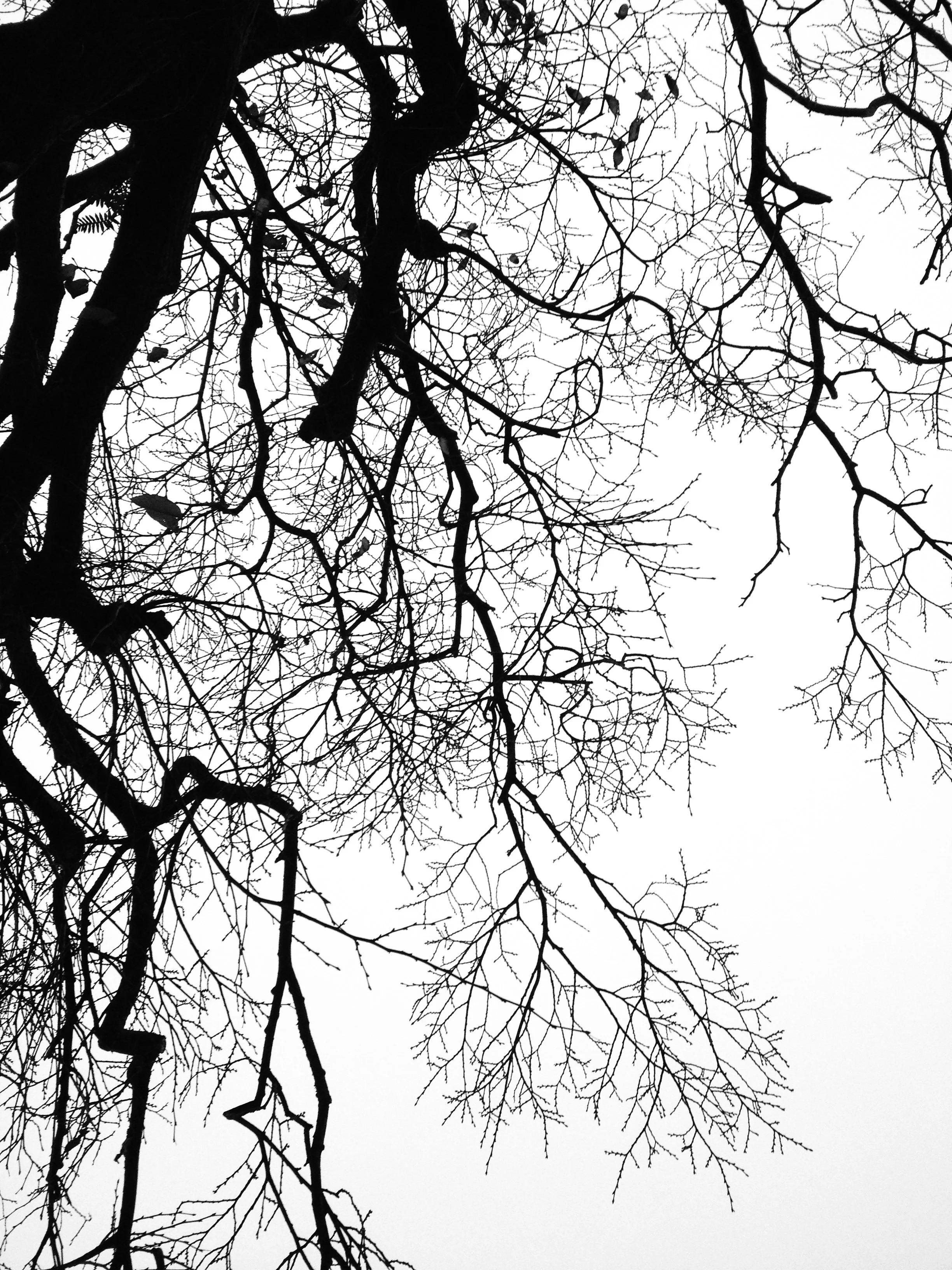 Small artist owned independent gallery and healing space, based in the ...