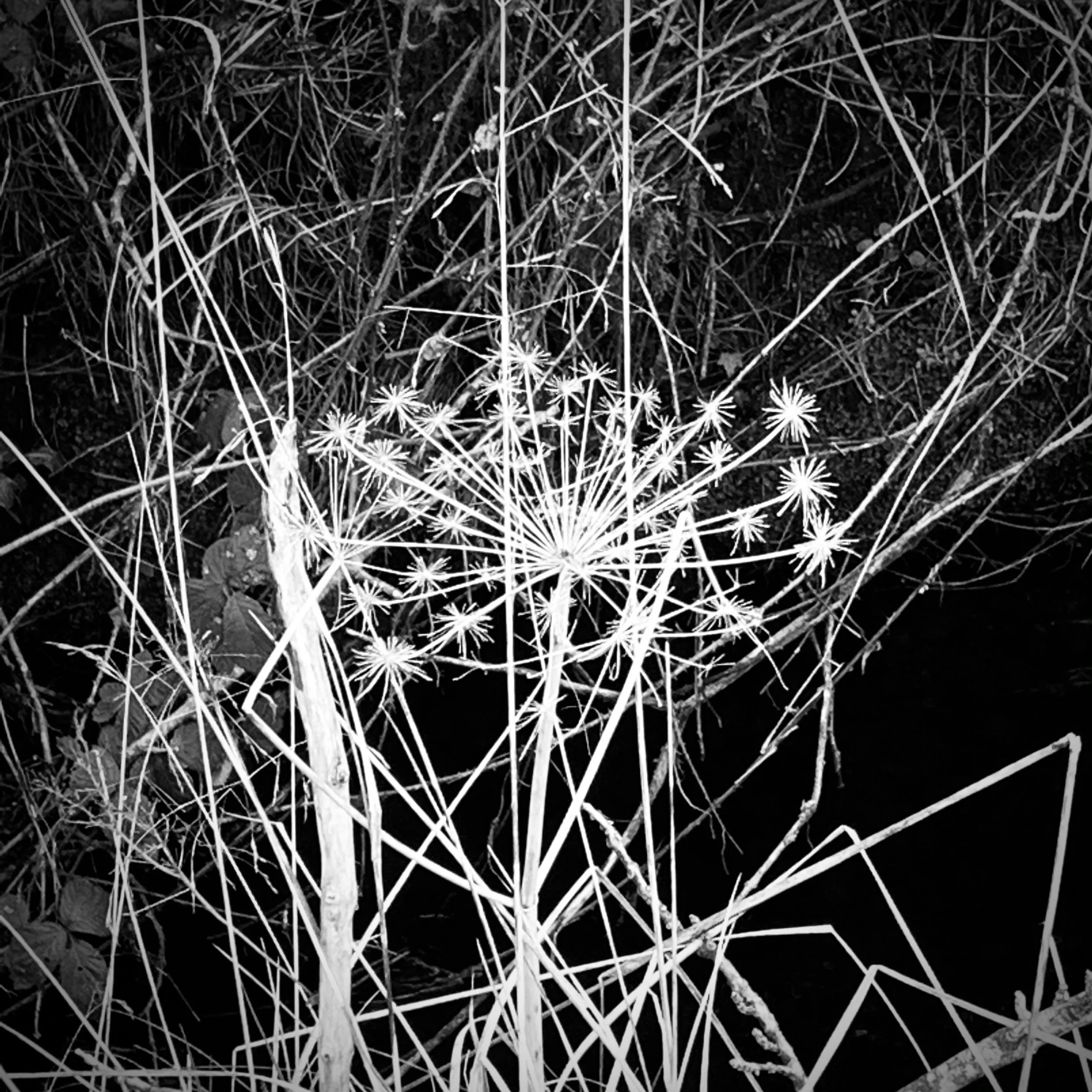 Small artist owned independent gallery and healing space, based in the ...