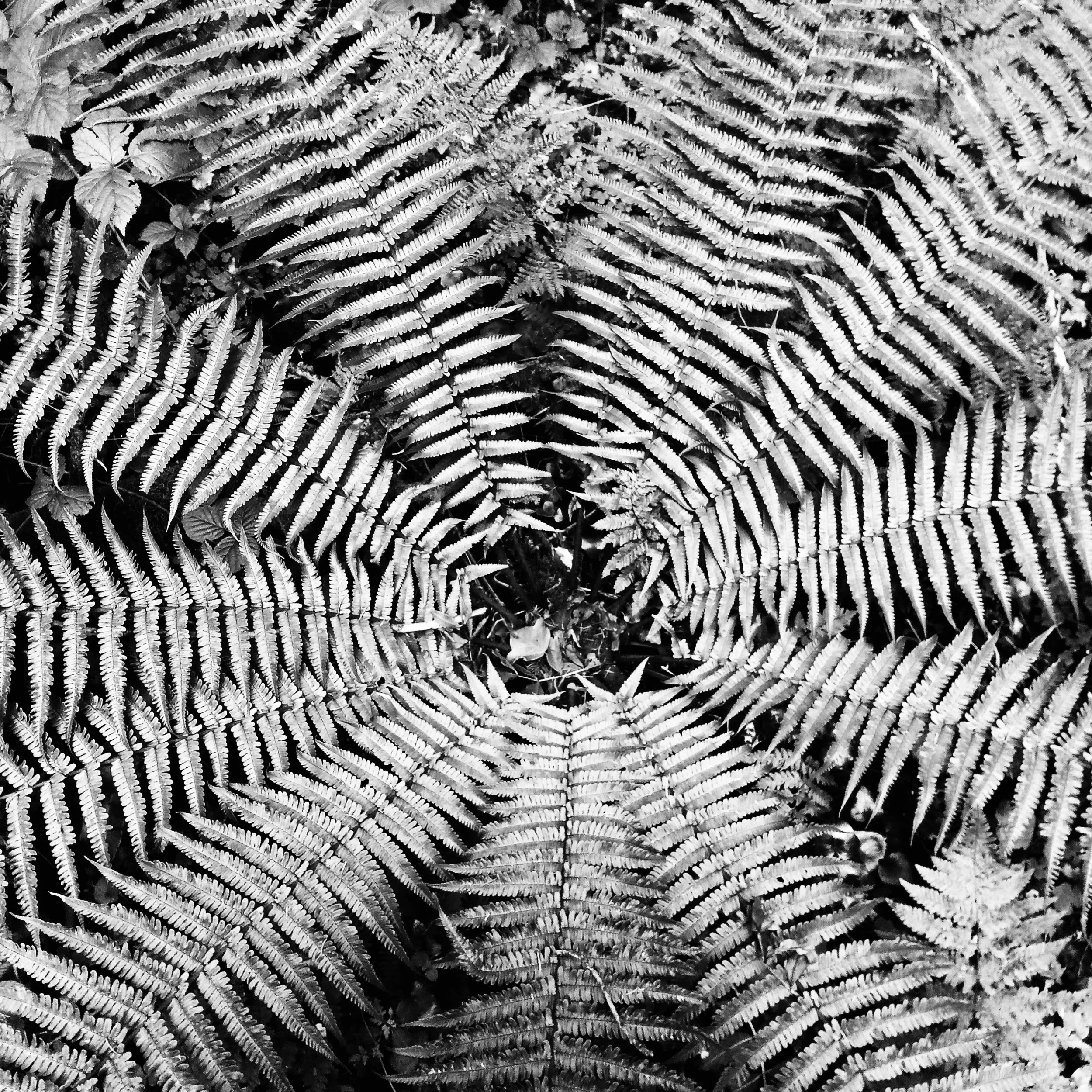 Small artist owned independent gallery and healing space, based in the ...