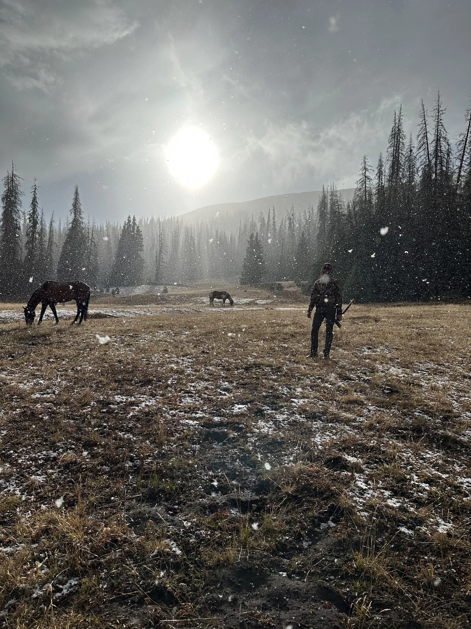 Hunt | Unit 76 Elk, Mule Deer & Moose Hunting Trips - Frazier ...