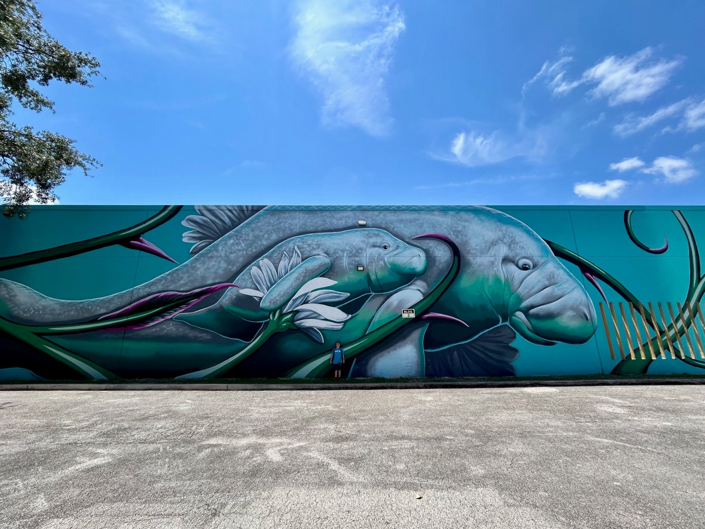 Maura McCarthy Bulman for Broward Schools