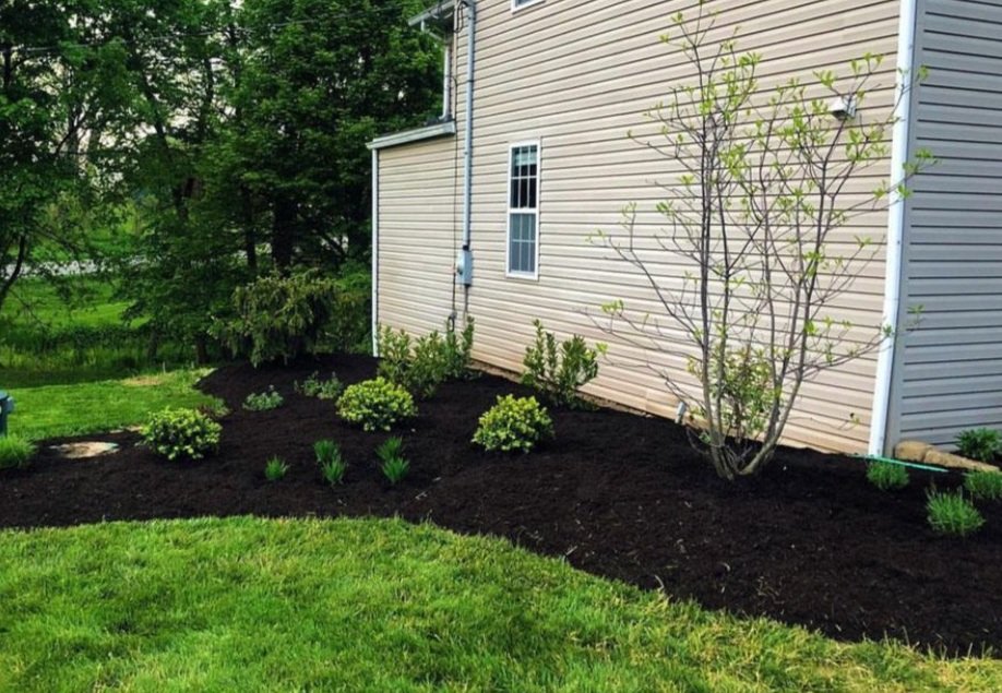 Landscaping — Onyx Outdoors