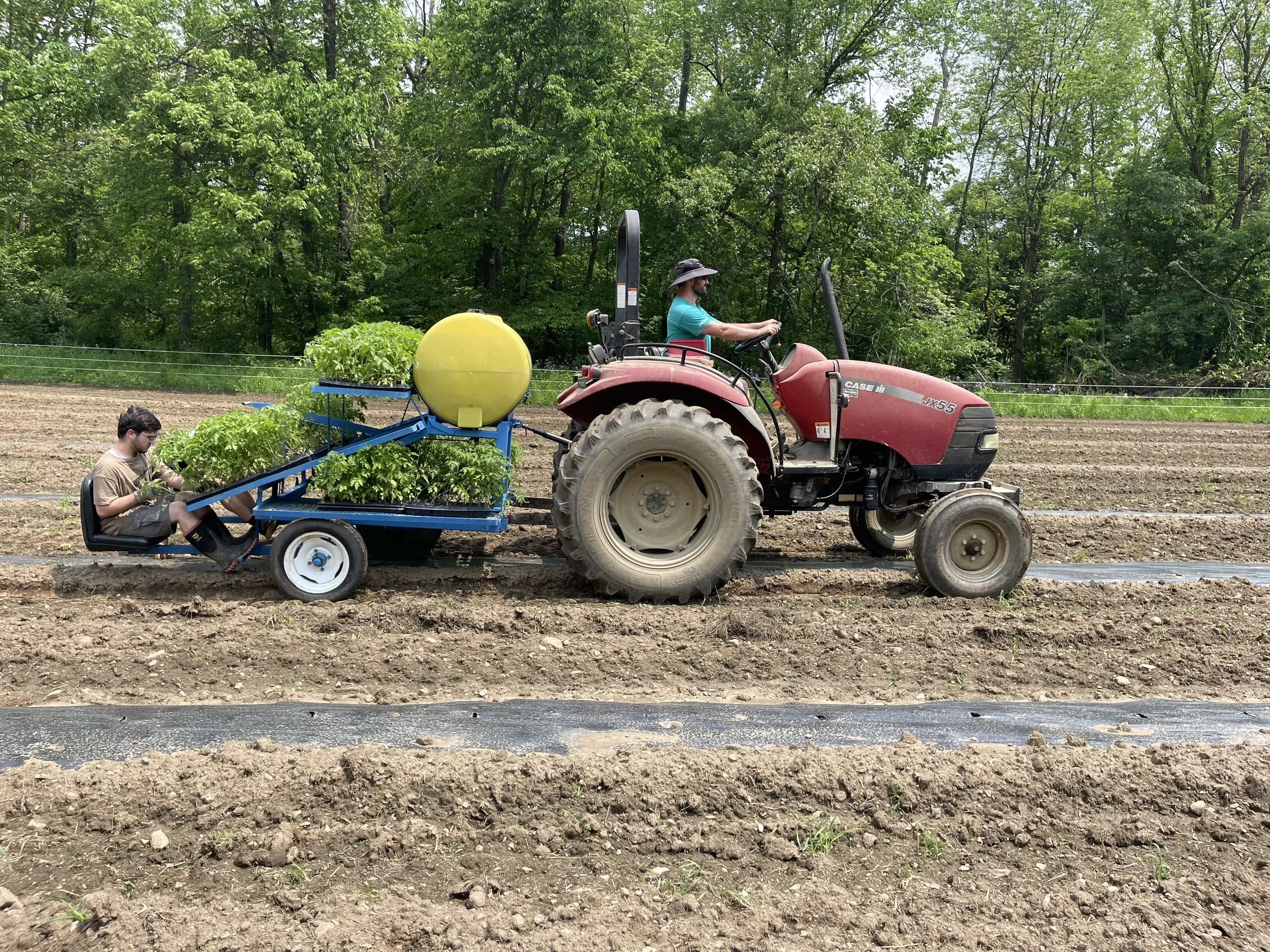 From Scratch Farm LLC